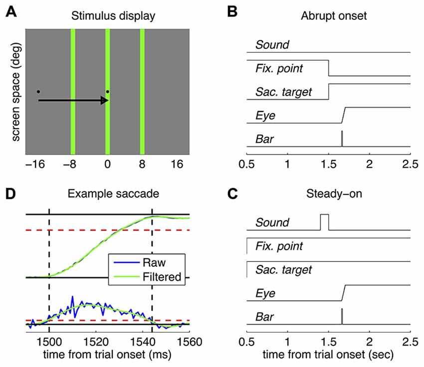 Frontiers | Effect of saccade automaticity on perisaccadic space ...