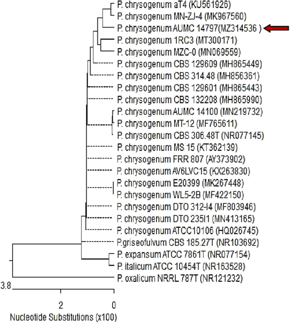 Frontiers | Antimicrobial and cytotoxic activities of natural (Z)-13 ...