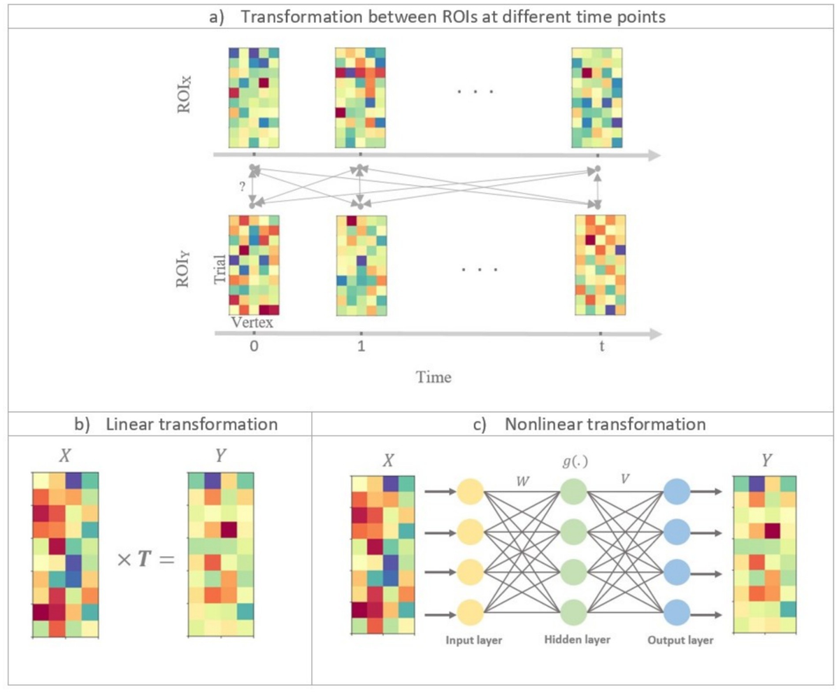 Frontiers | Linear and nonlinear multidimensional functional connectivity methods reveal similar ...