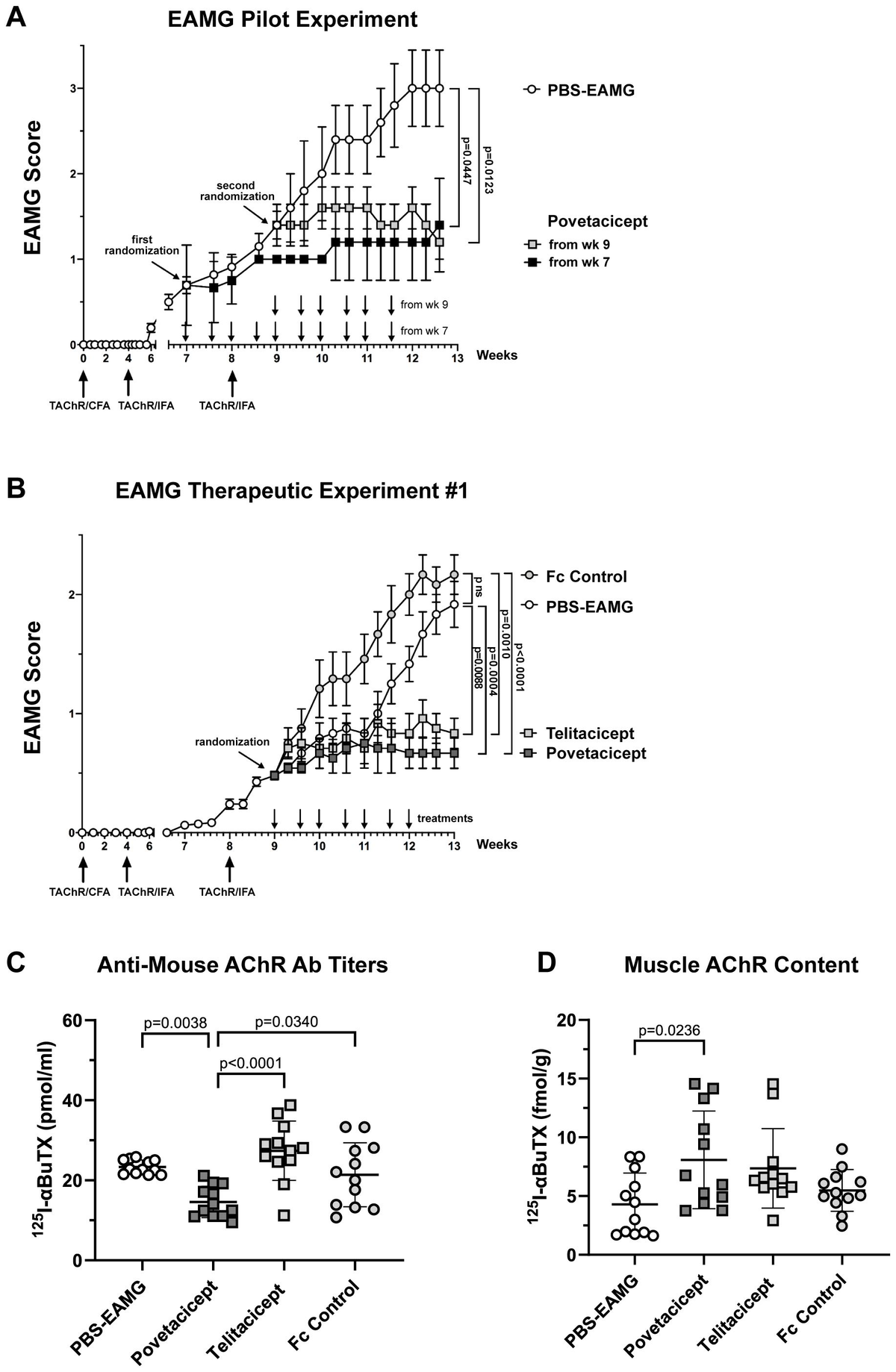Frontiers | Povetacicept (ALPN-303; TACI vTD-Fc), an enhanced, potent ...