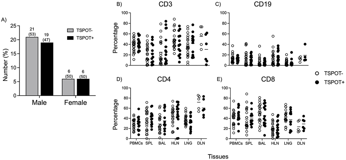 Frontiers | Tissue-specific T cell profiles in Mycobacterium ...
