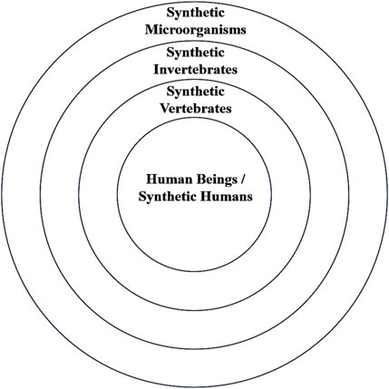 Frontiers | Analysis of the intrinsic value of life in the context of ...