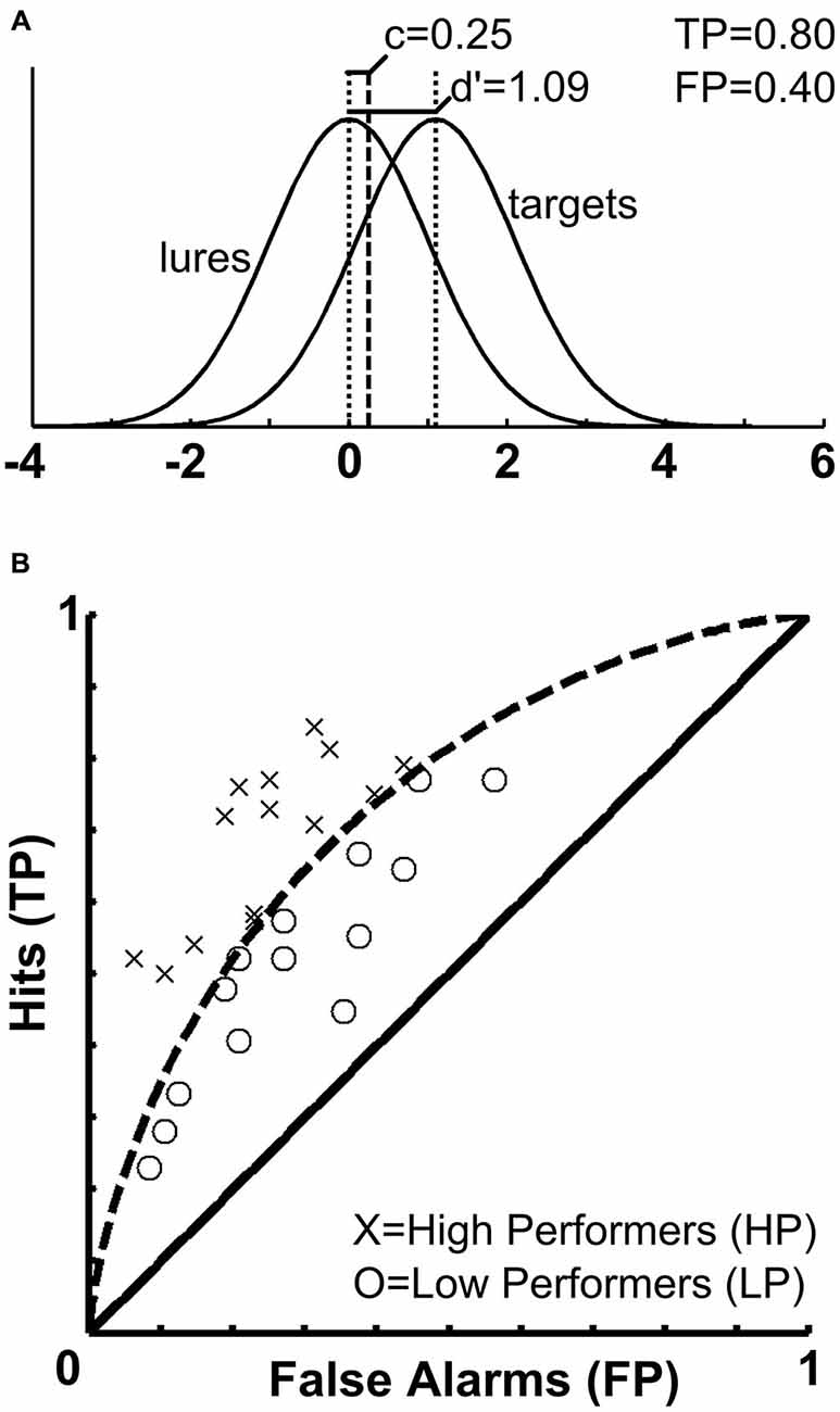 Frontiers | Incidental Memory Encoding Assessed with Signal Detection ...