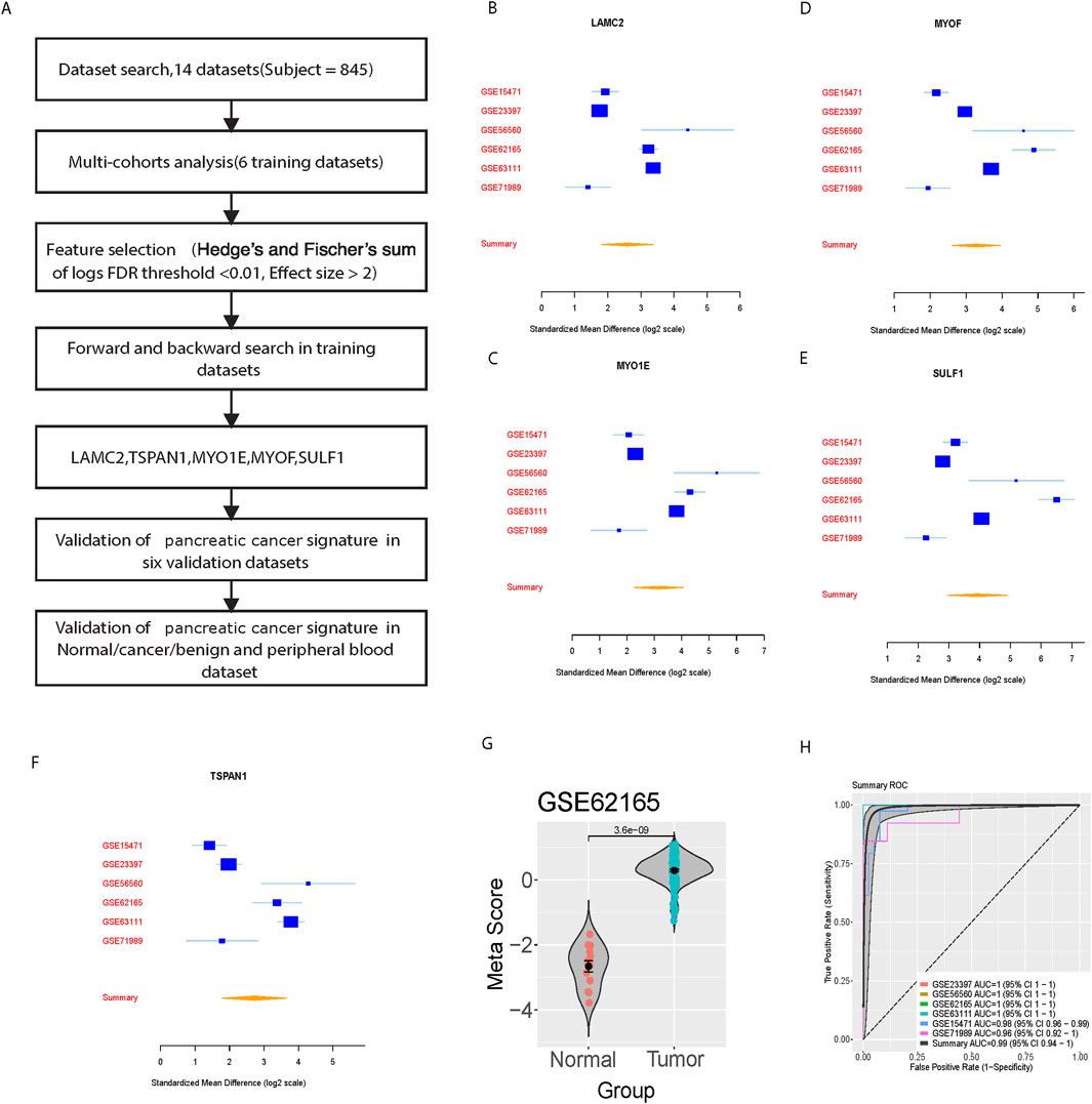 Frontiers | Integrating traditional machine learning with qPCR validation to identify solid drug ...