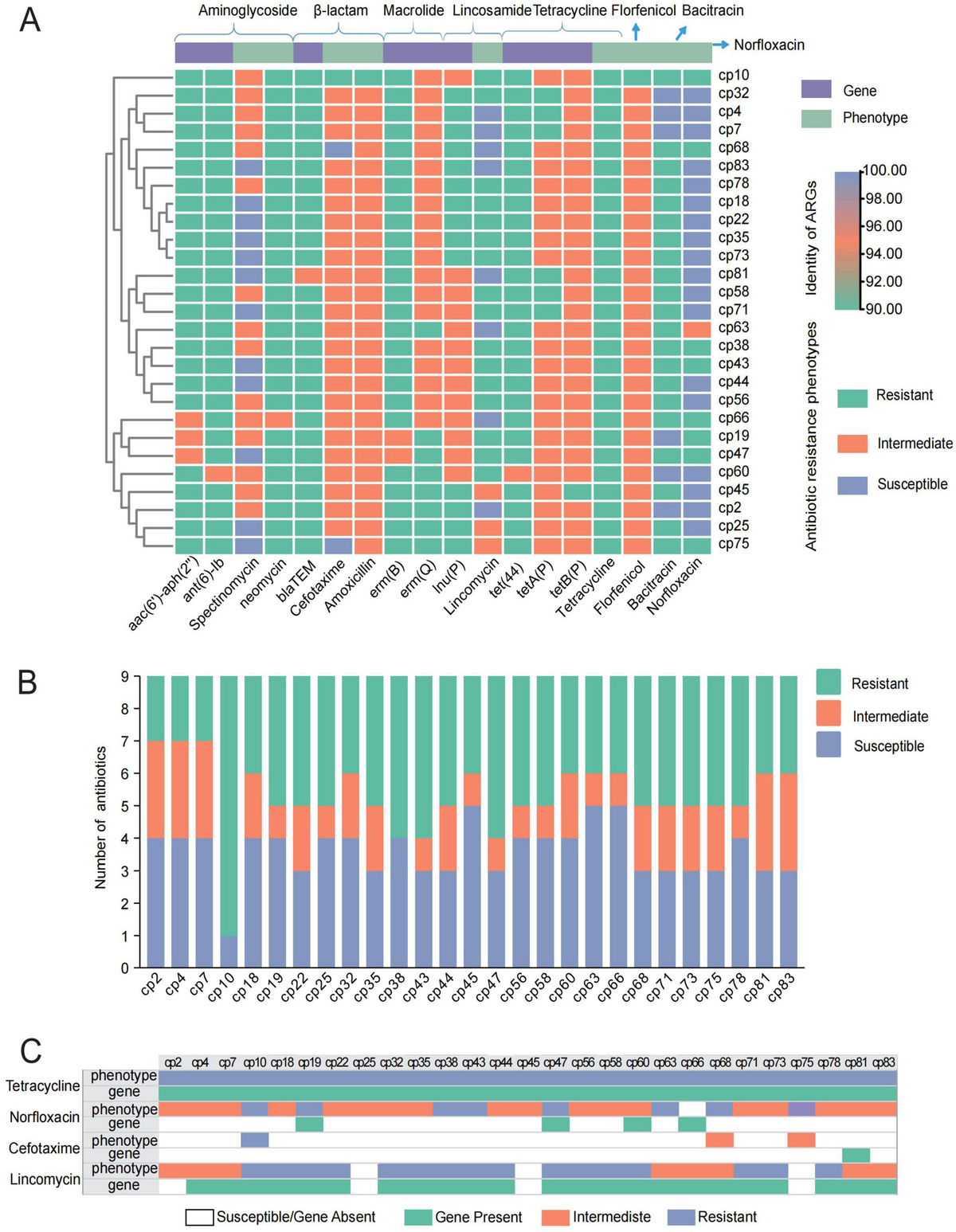 Frontiers | Comparative genomic analysis of food-animal-derived and human-derived Clostridium ...