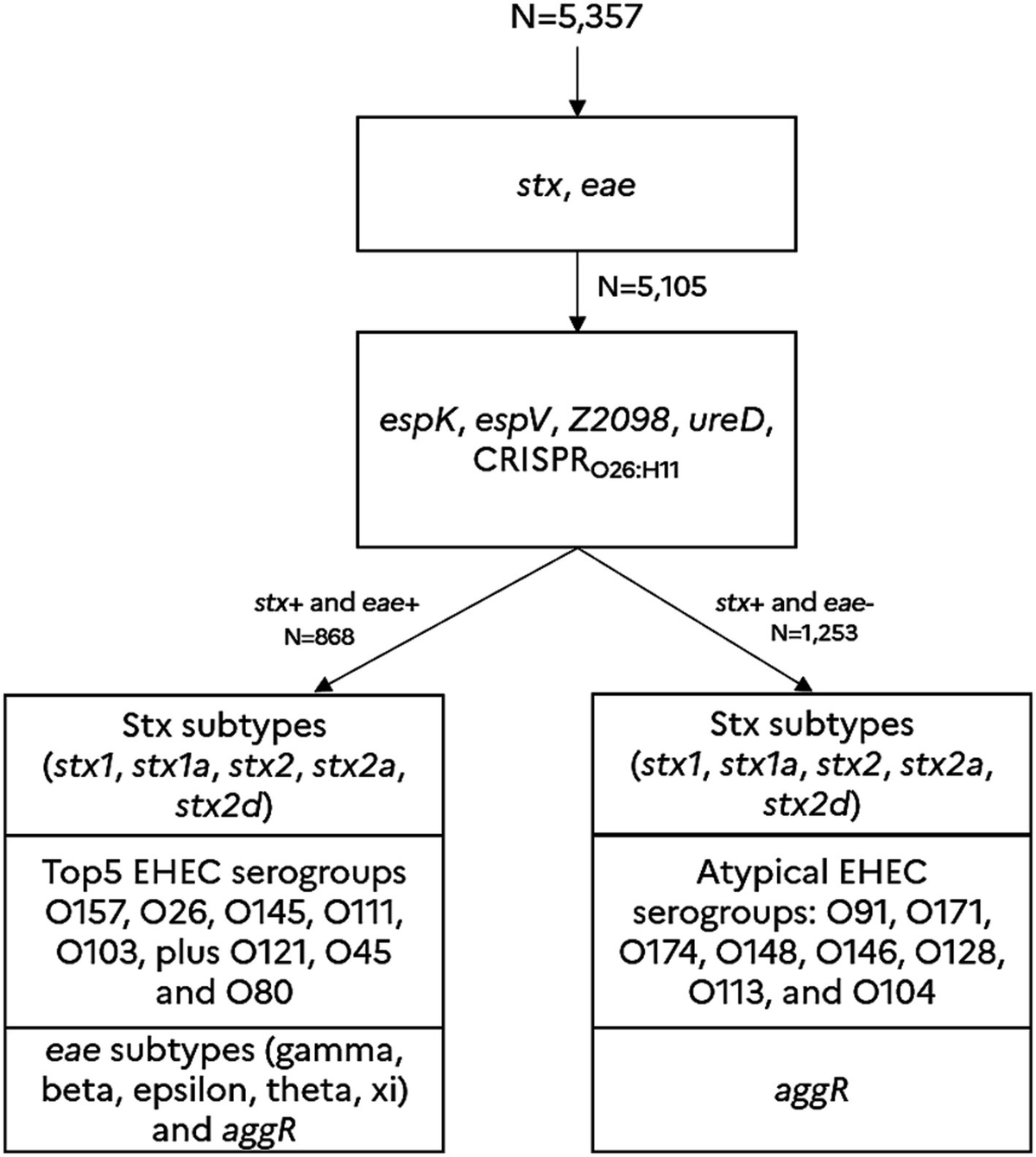 Frontiers | Enhancing detection of STEC in the meat industry: insights ...
