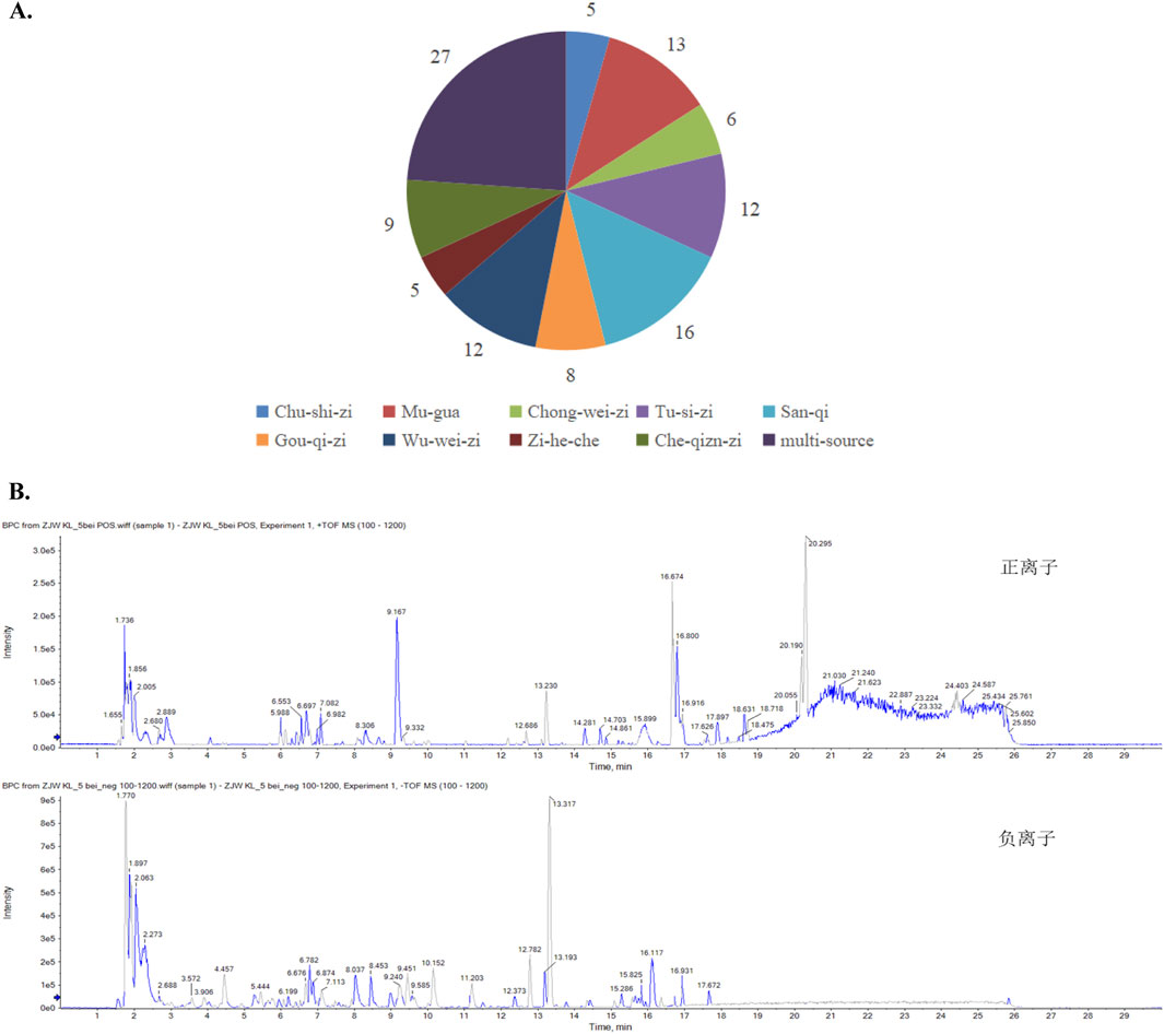 Frontiers | Modified ZhuJing pill protects retinal pigment epithelium ...