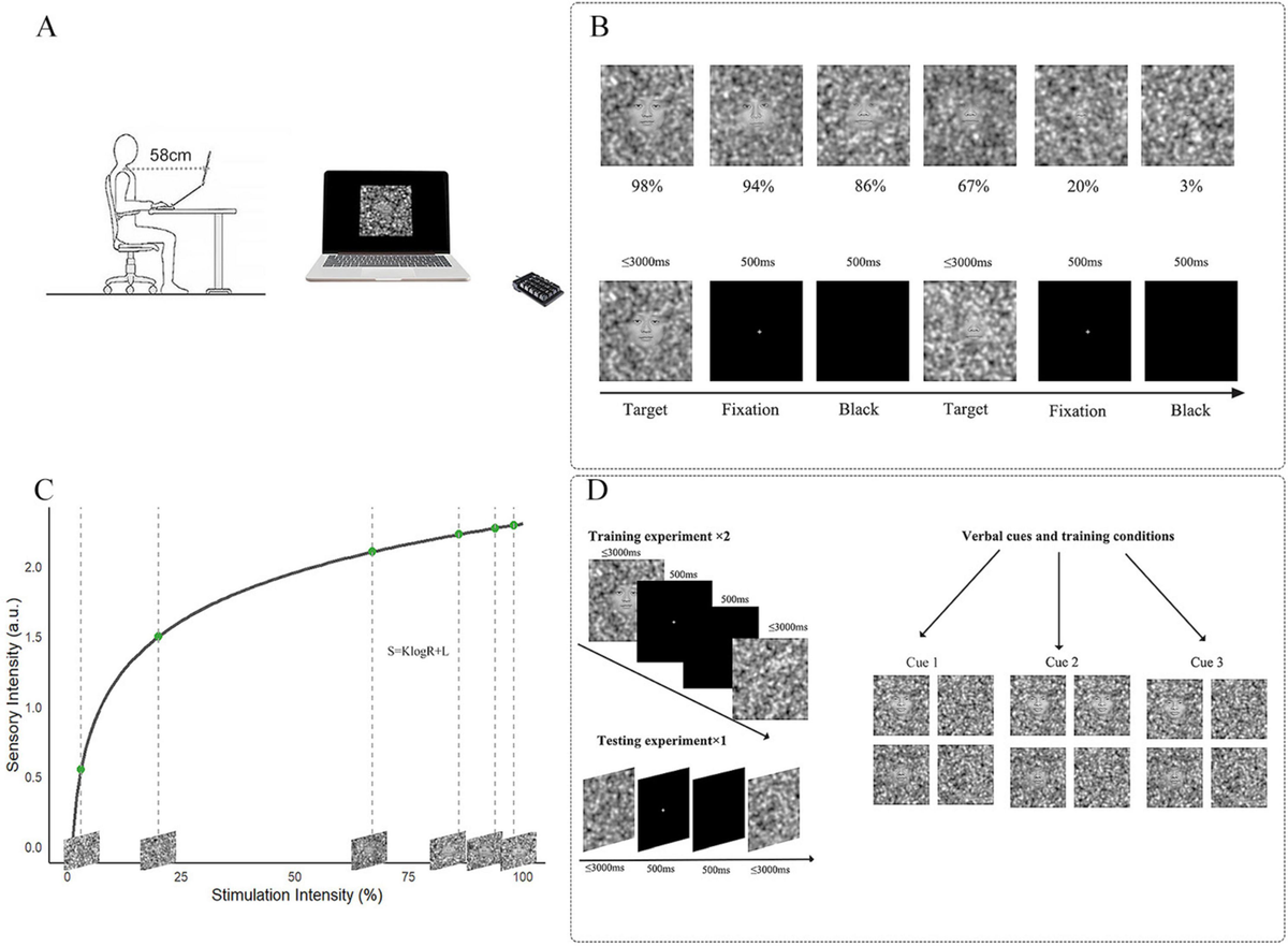 Frontiers | Psychophysical assessment of face perception deficits in ...