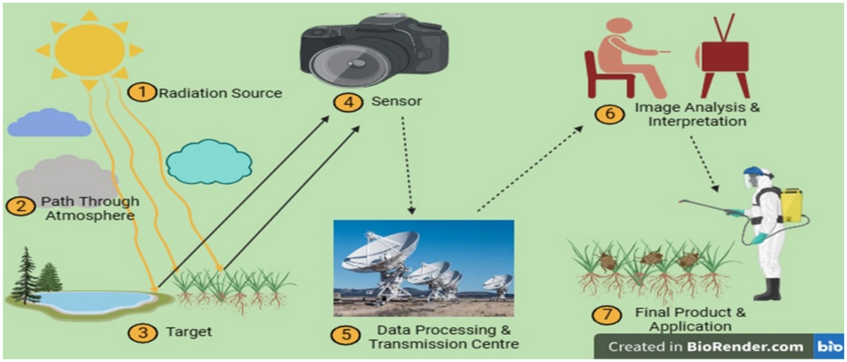 Frontiers | Remote sensing and artificial intelligence: revolutionizing ...