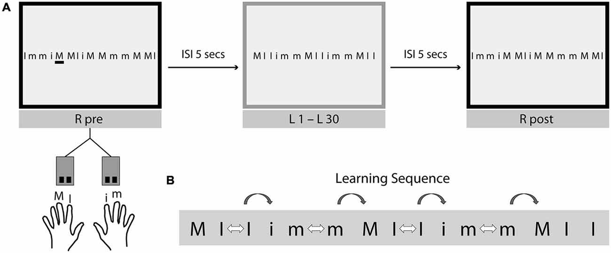 Frontiers | Switching between hands in a serial reaction time task: a ...