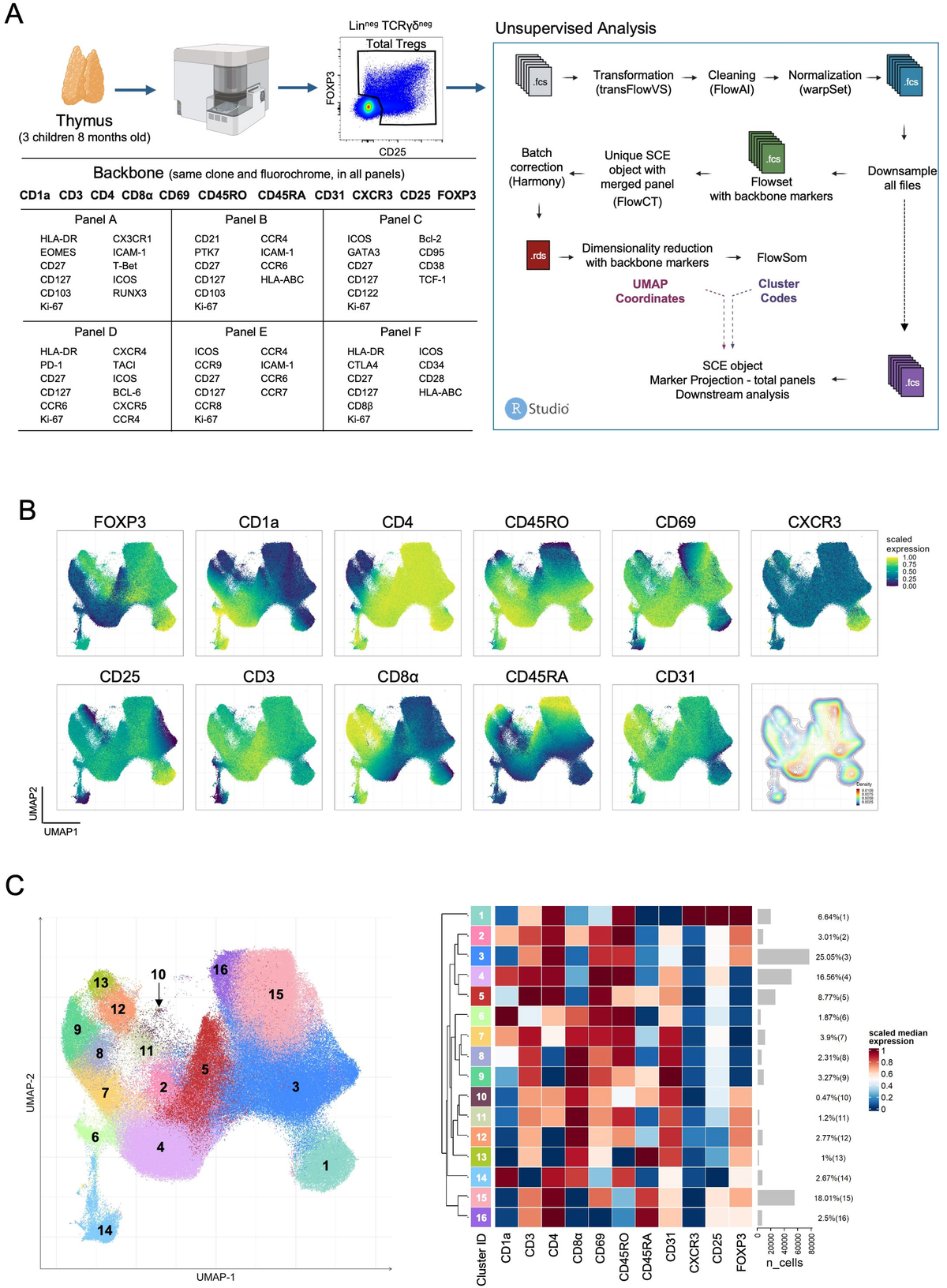 Frontiers | A backbone-based flow cytometry approach to decipher regulatory T cell trajectories ...