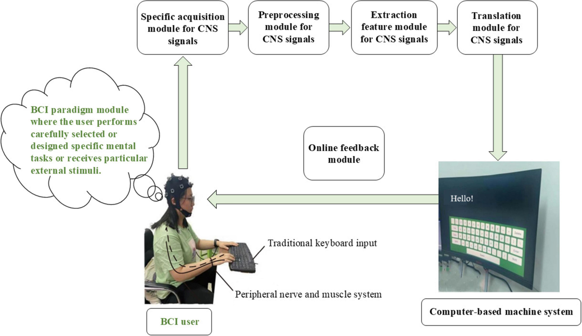 Frontiers | Guiding principles and considerations for designing a well-structured curriculum for ...