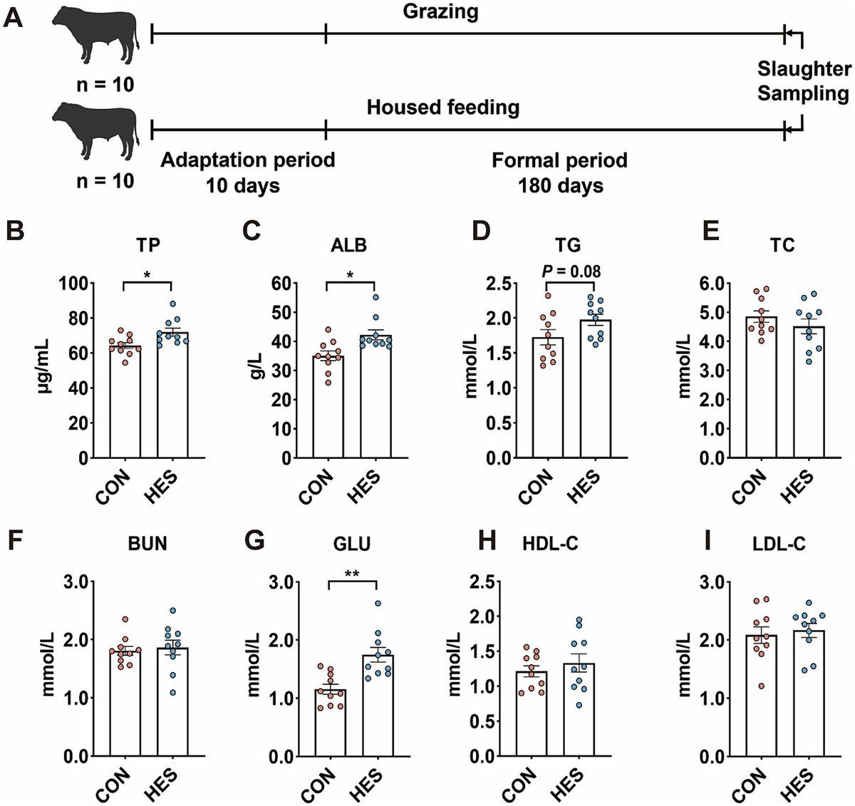 Frontiers | Housed feeding improves rumen health by influencing the ...
