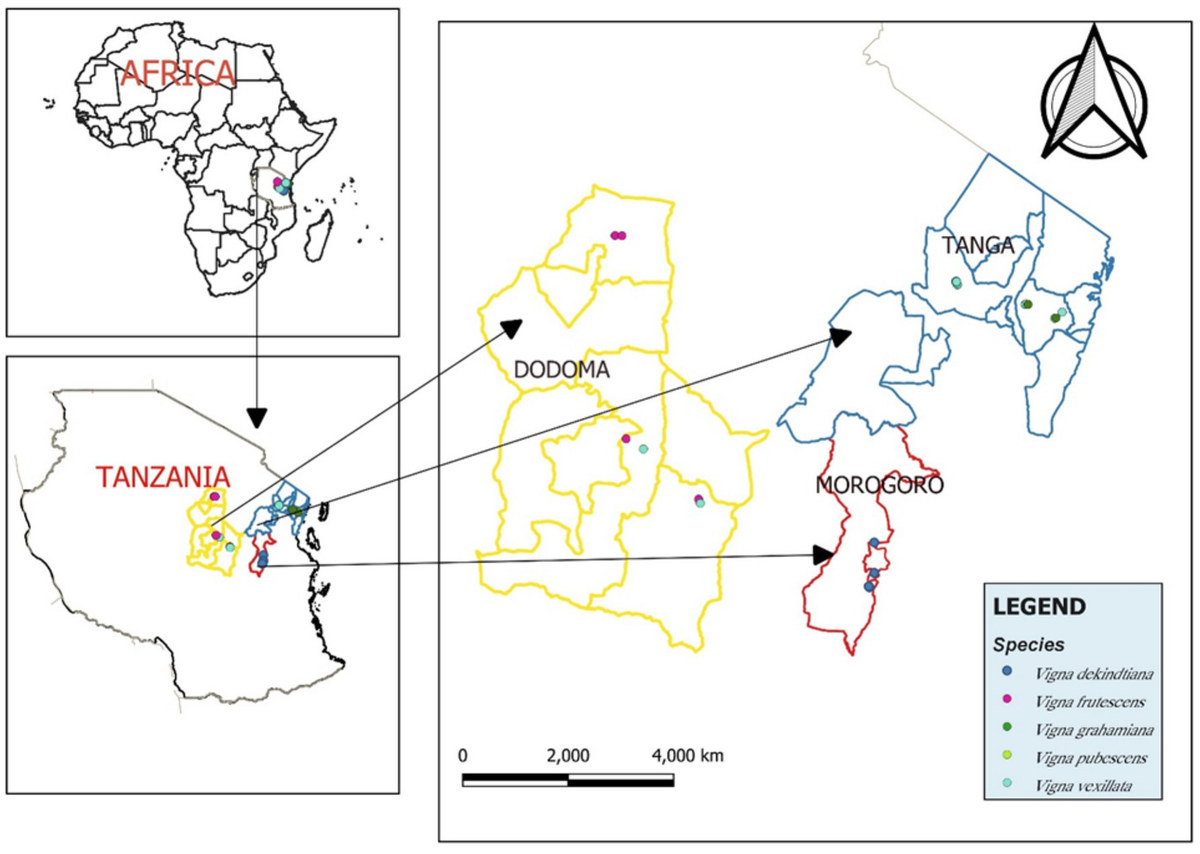 Frontiers | Traditional Knowledge and use of Wild Cowpeas (Vigna ...