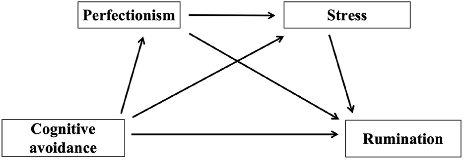 Frontiers | The effect of cognitive avoidance on rumination in college ...