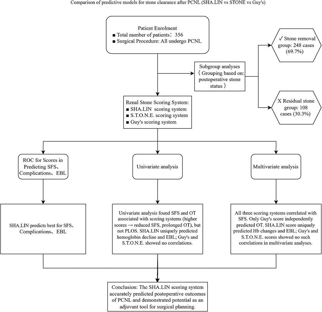 Frontiers | The SHA.LIN renal stone scoring system for predicting stone ...