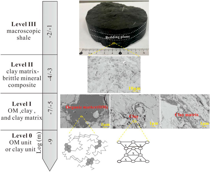 Frontiers | Nanoindentation measurements of mechanical properties and creep behavior of ...