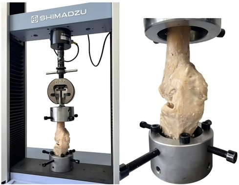 Frontiers | A novel grid-assisted pie-crusting technique for achieving ...