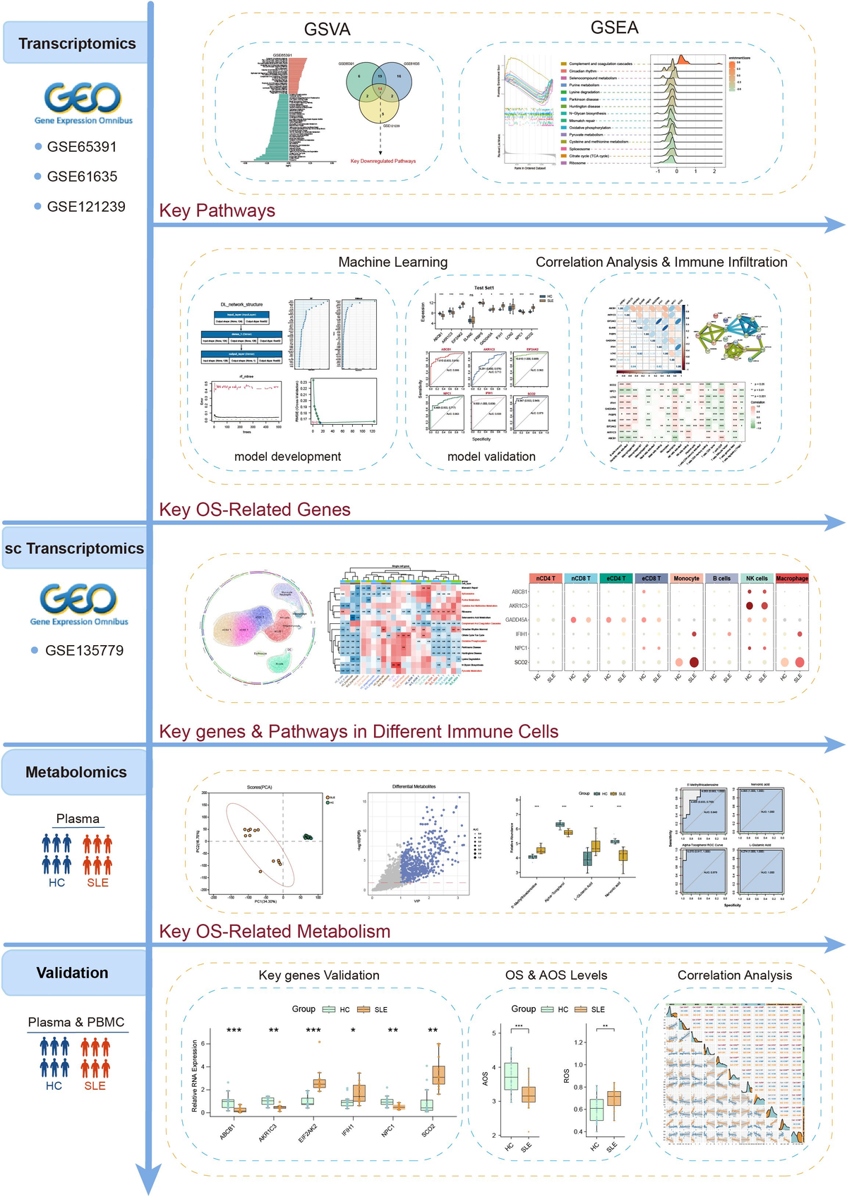 Frontiers | Machine learning combined multi-omics analysis to explore key oxidative stress ...