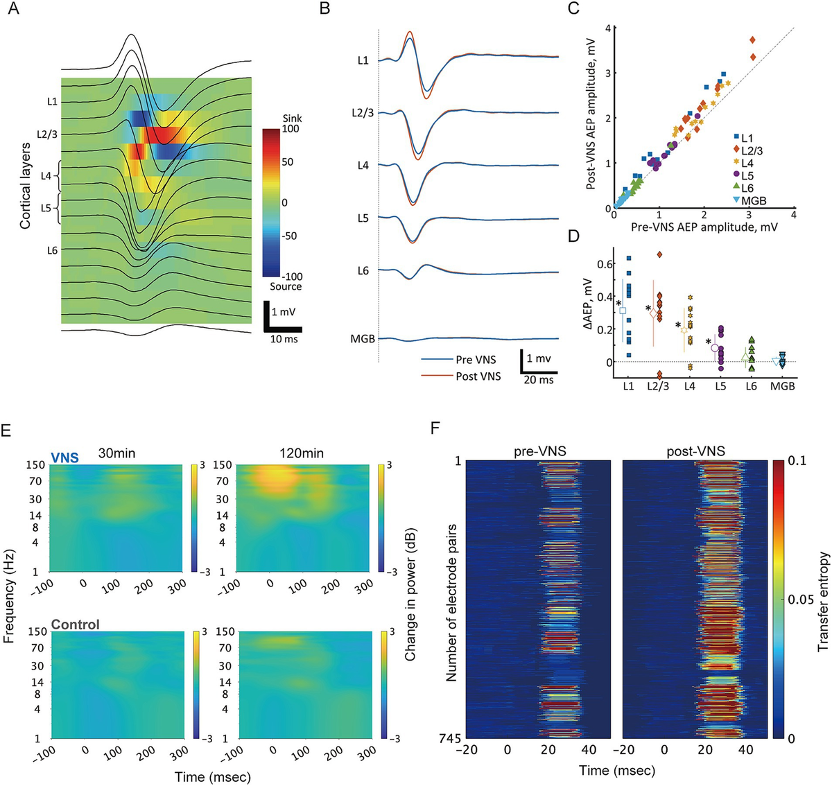 Frontiers | Vagus nerve stimulation as a predictive coding modulator that enhances feedforward ...