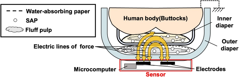 Frontiers | Urine non-contact sensor that evaluates multiple urination ...
