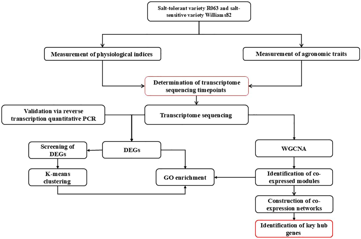 Frontiers | Using WGCNA and transcriptome profiling to identify hub ...