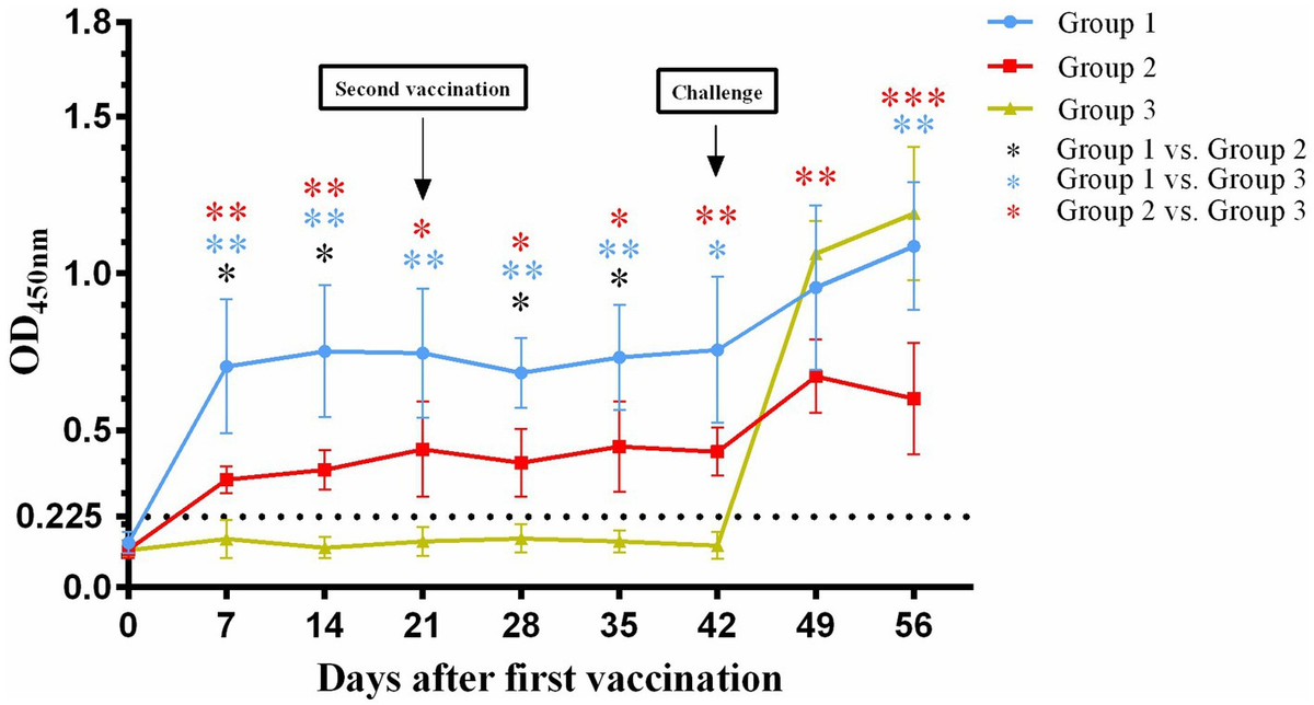 Frontiers | Protective efficacy of inactivated FHV-1 vaccine in cats following challenge with ...