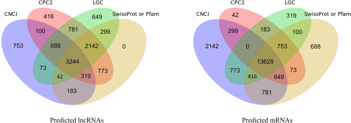 Frontiers | Comparative transcriptome analysis reveals key long ...
