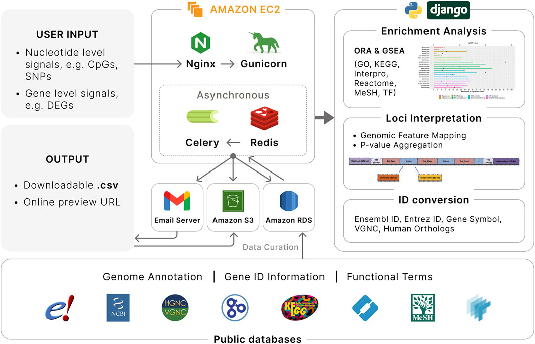 Frontiers | EnrichKit: a multi-omics tool for livestock research