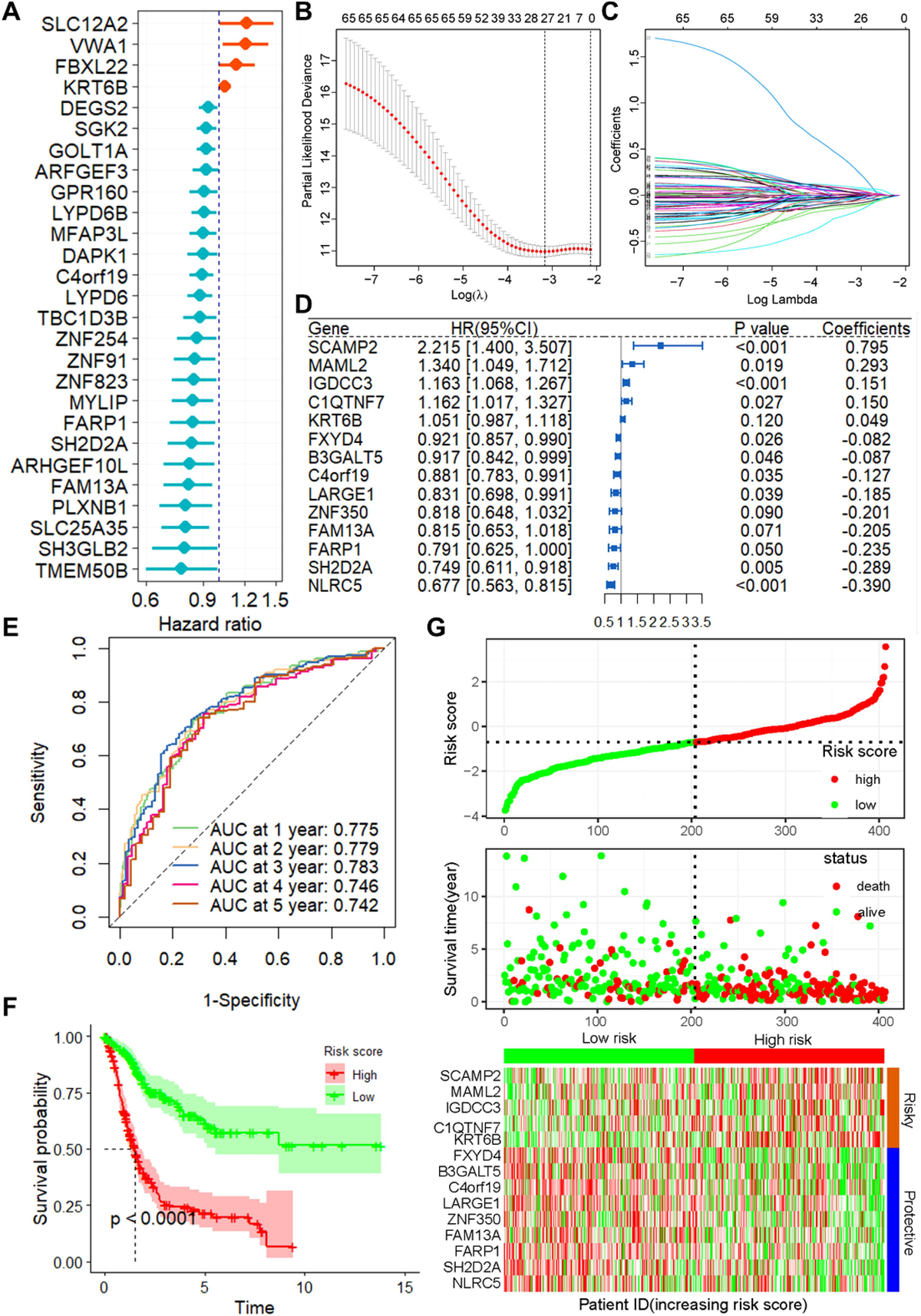 Frontiers | Identification of SCAMP2 as a regulator of NOTCH signaling ...