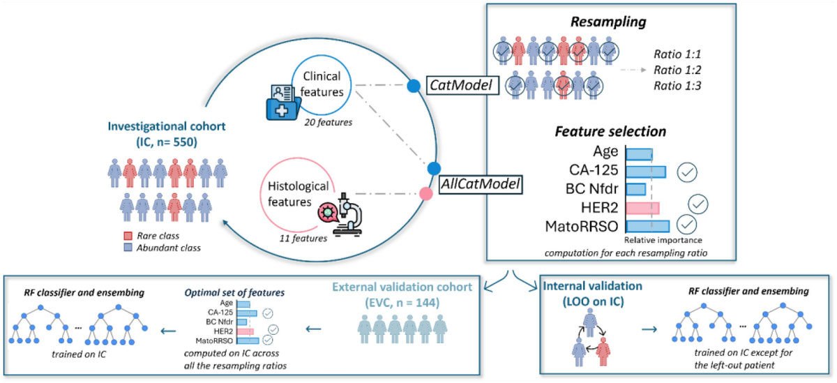Frontiers | Validation of machine learning-based models to predict and explain the risk of ...