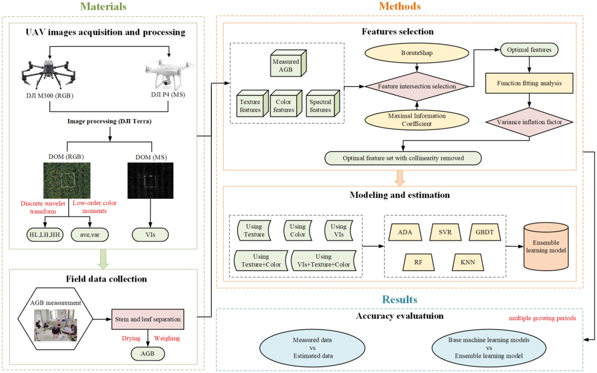 Frontiers | High-throughput method for improving rice AGB estimation based on UAV multi-source ...