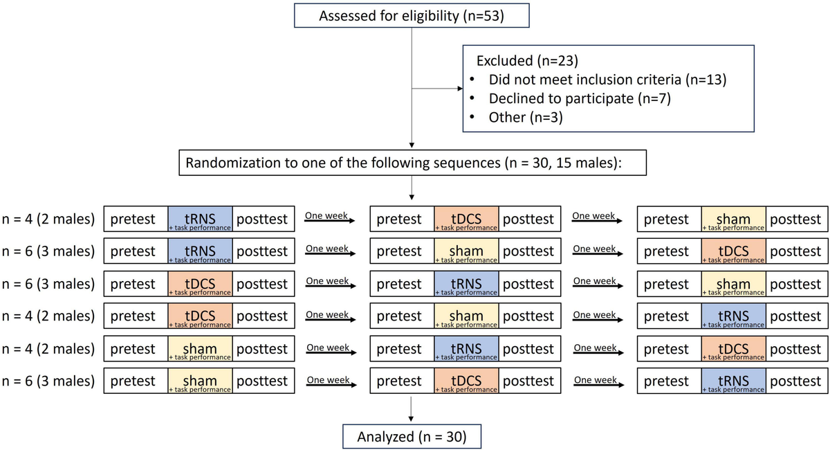 Frontiers | Comparing the effect of transcranial random noise stimulation and transcranial ...