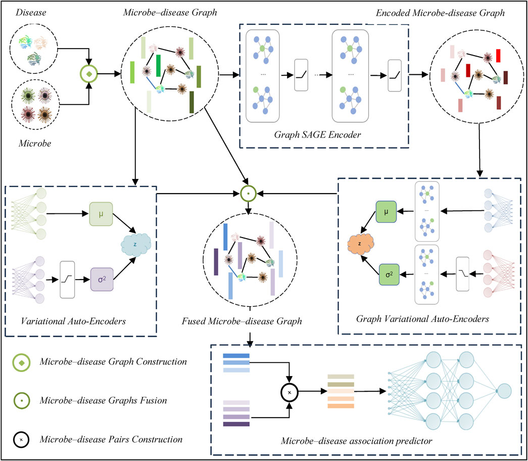 Frontiers | Harnessing dual variational autoencoders to decode microbe ...