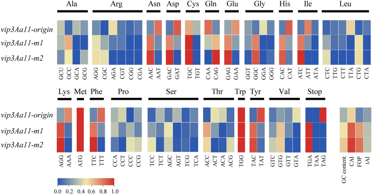Frontiers | Impact of codon optimization on vip3Aa11 gene expression ...
