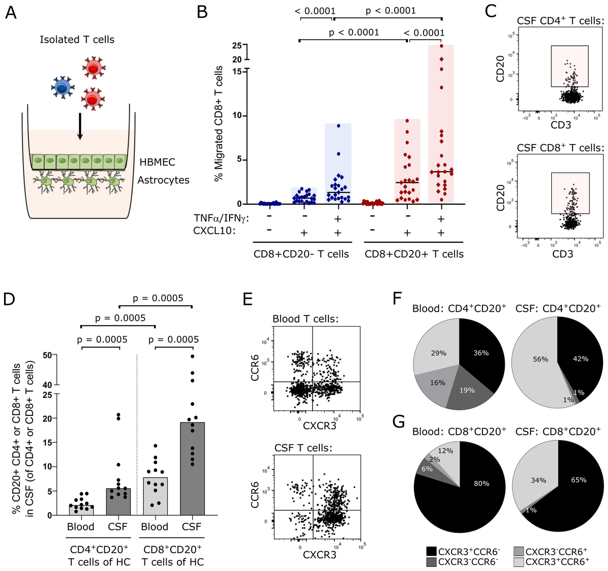 Frontiers | A role of CD20+ T cells in early multiple sclerosis