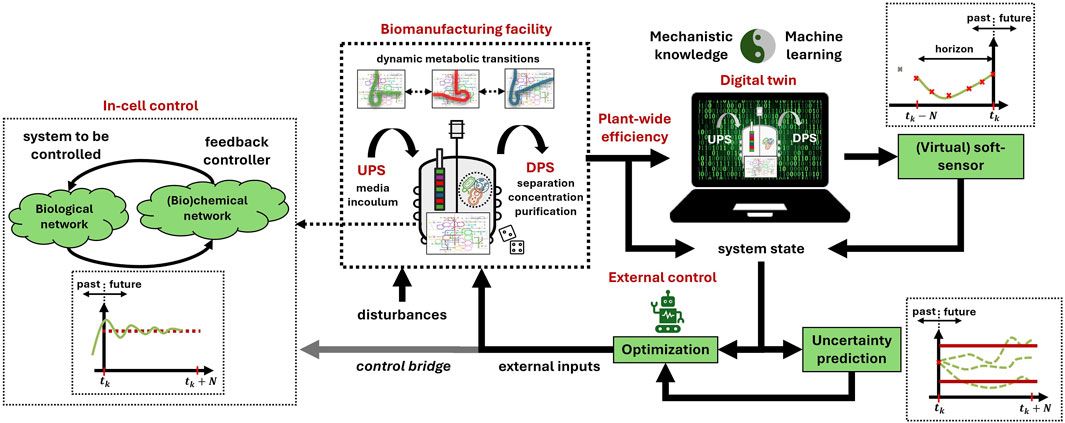 Frontiers | Biotechnology systems engineering: preparing the next ...