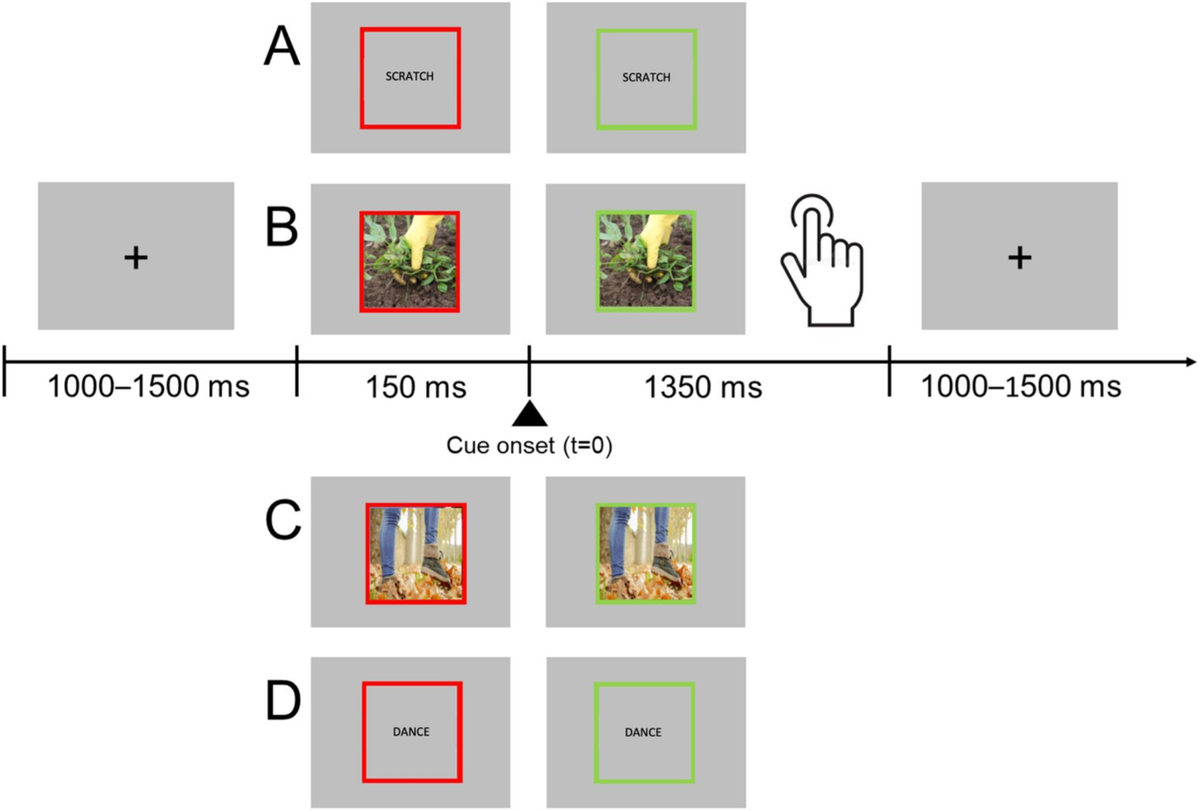 Frontiers | Processing L2 action verbs shares the same mechanisms for processing L1 items ...