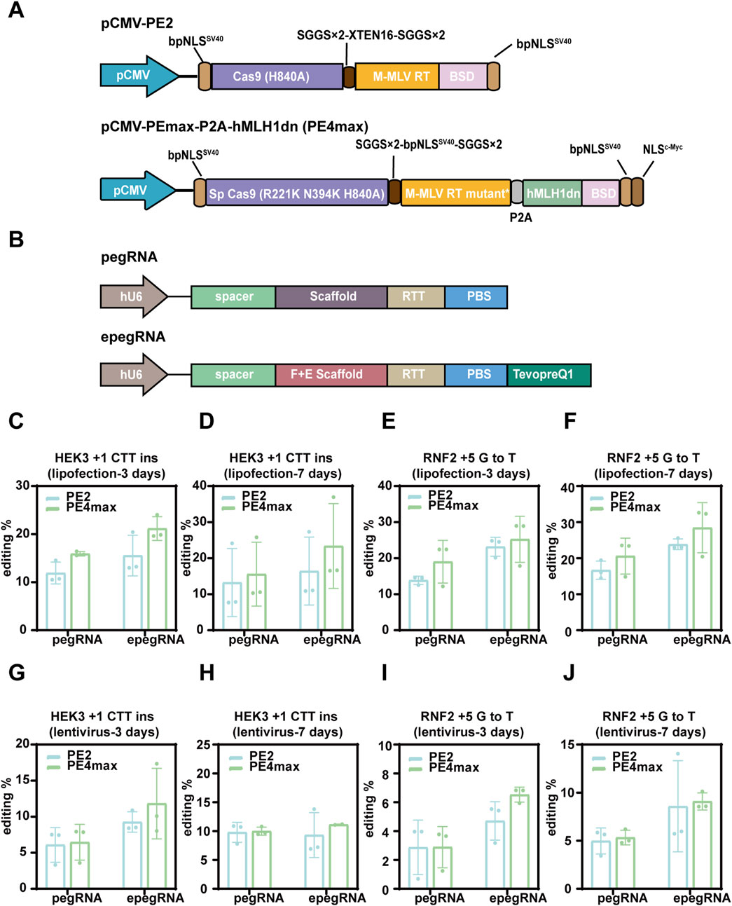 Frontiers | Systematic optimization of prime editing for enhanced ...