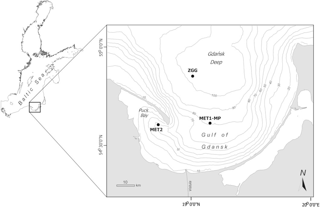 Frontiers | Early diagenesis in anoxic sediments of the Gulf of Gdańsk ...