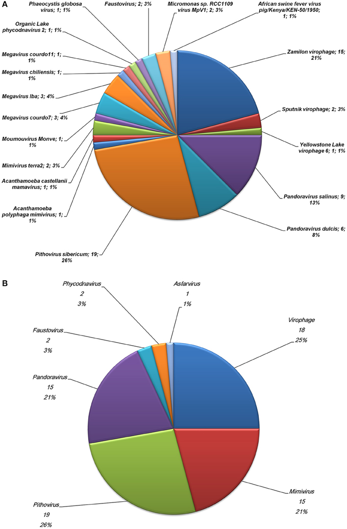 Frontiers | A New Zamilon-like Virophage Partial Genome Assembled from ...