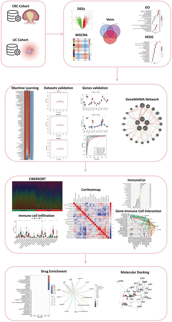Frontiers | Integrative machine learning and bioinformatics analysis to identify cellular ...