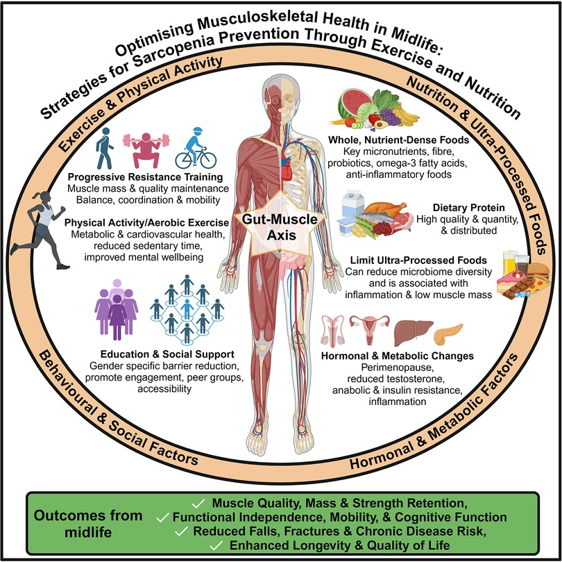 Frontiers | Editorial: Preventing sarcopenia and promoting ...