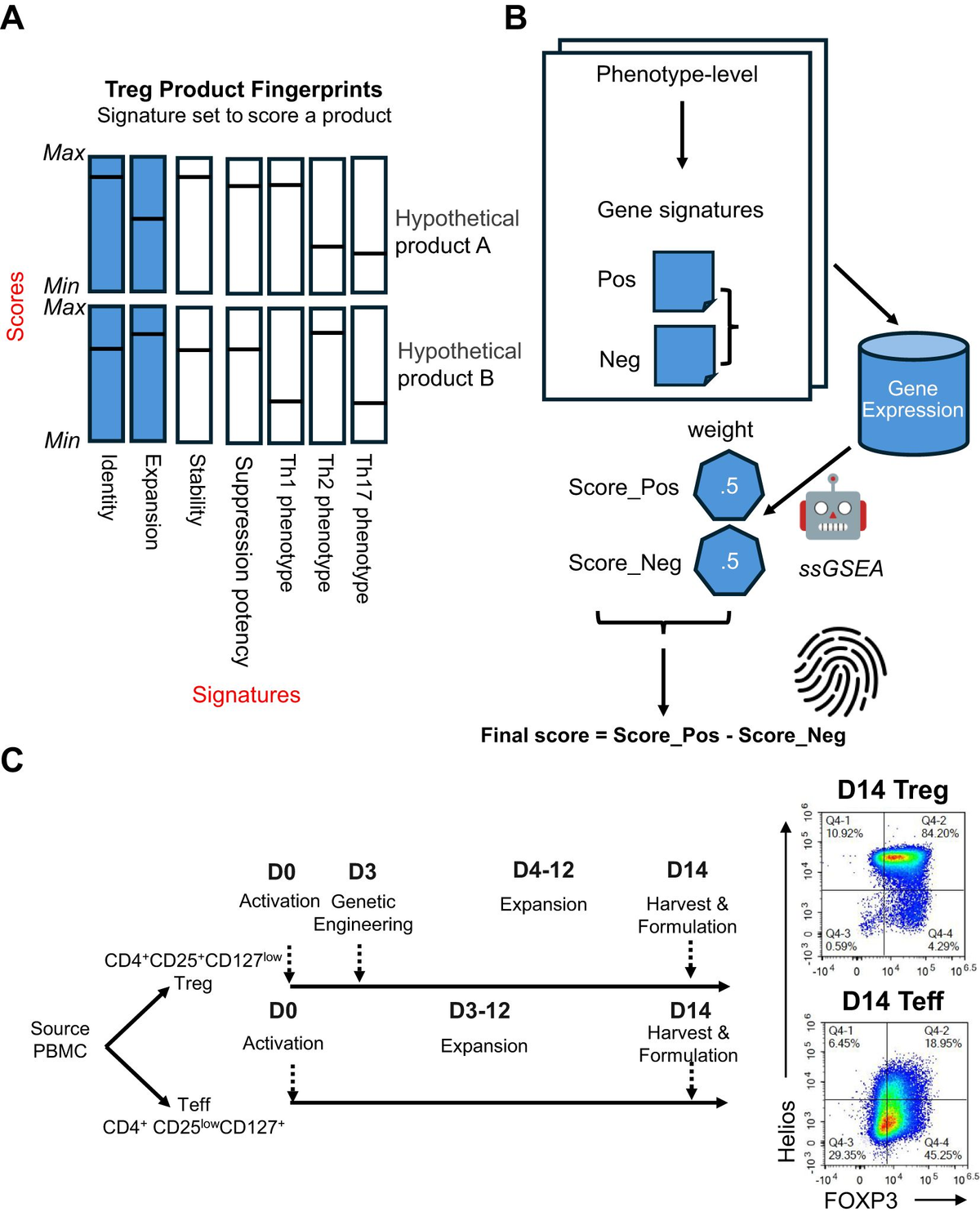 Frontiers | Transcriptional fingerprinting of regulatory T cells ...