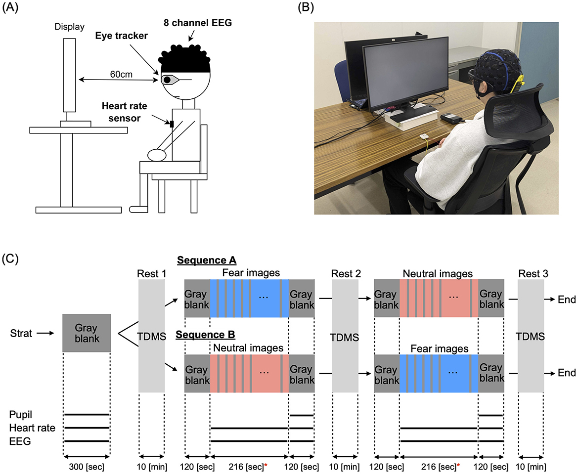 Frontiers | Evaluating multimodal physiological signals for fear detection: relative utility of ...