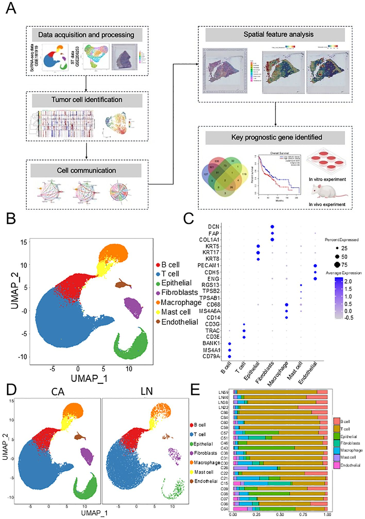 Frontiers | Integrated analysis of single cell and spatial ...