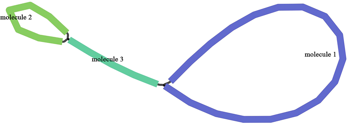 Frontiers | Unraveling the mitochondrial genome of Quercus litseoides ...