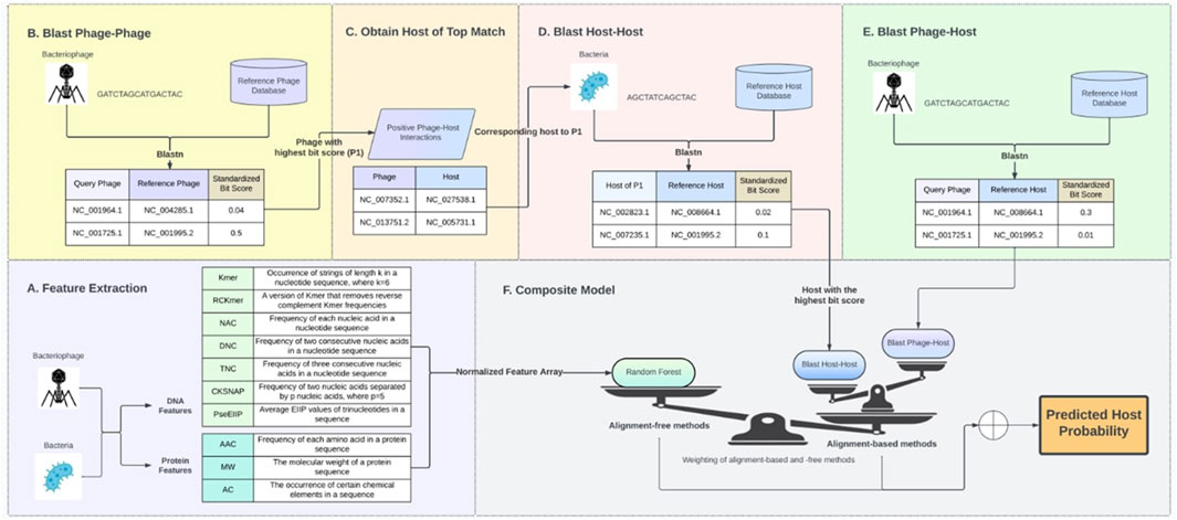 Frontiers | CoMPHI: a novel composite machine learning approach ...