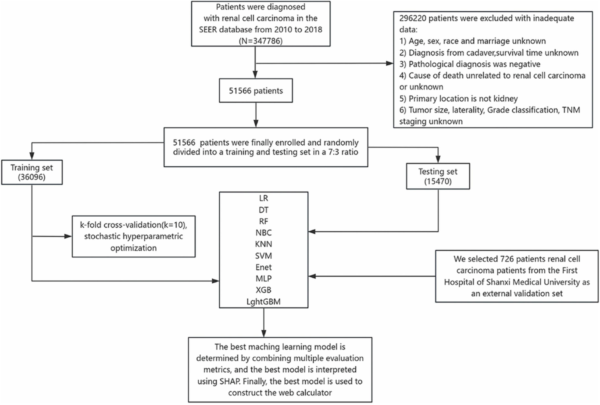 Frontiers | Explainable machine learning for predicting distant ...