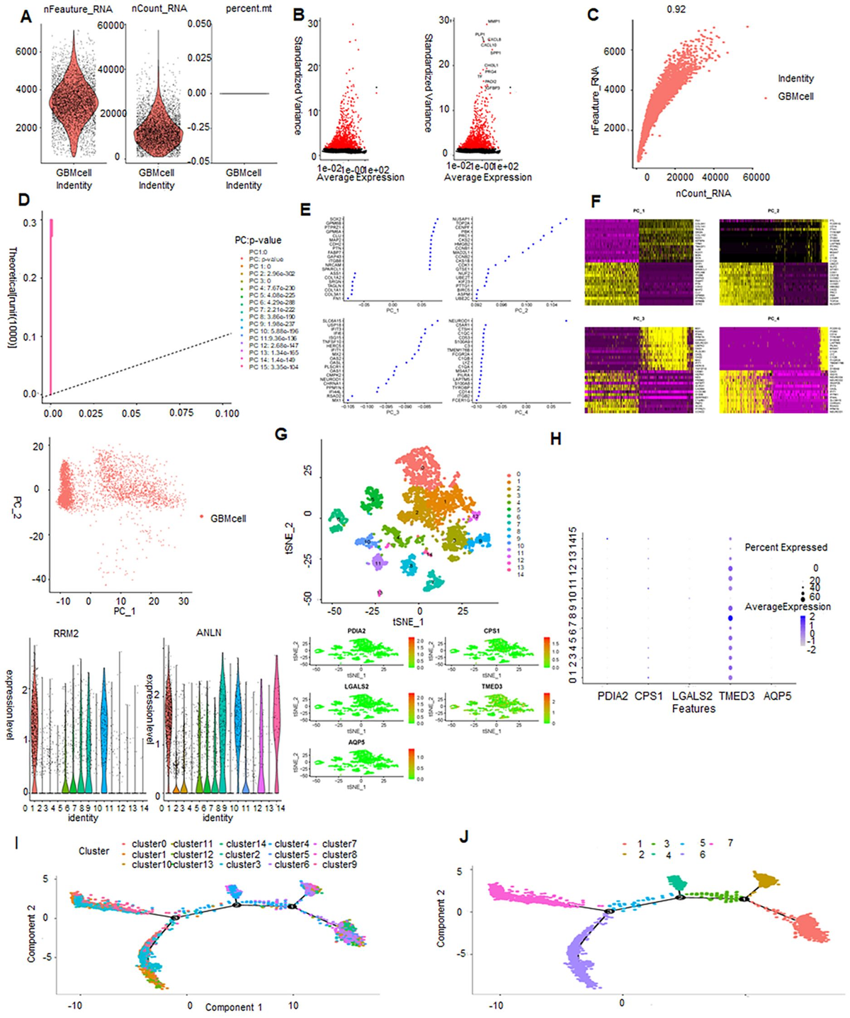 Frontiers | Single-cell sequencing combined with machine learning to identify glioma biomarkers ...